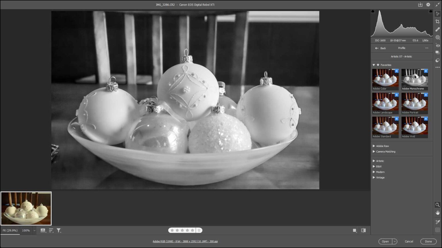 How to Apply Camera Raw Profiles in Photoshop