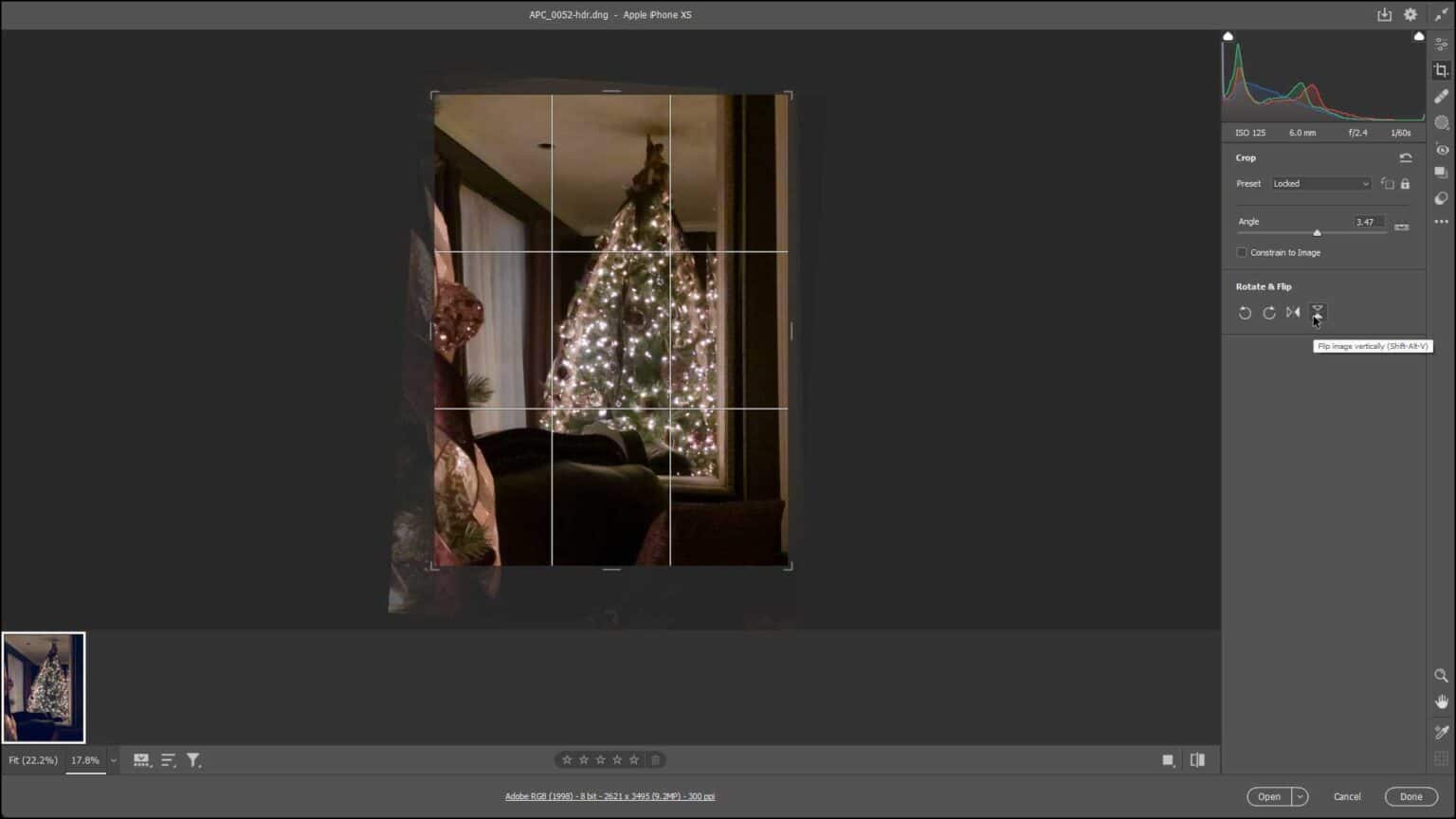 How to Use the Crop Tool in Camera Raw in Photoshop