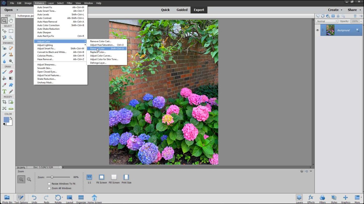Remove Color in Photoshop Elements - Instructions