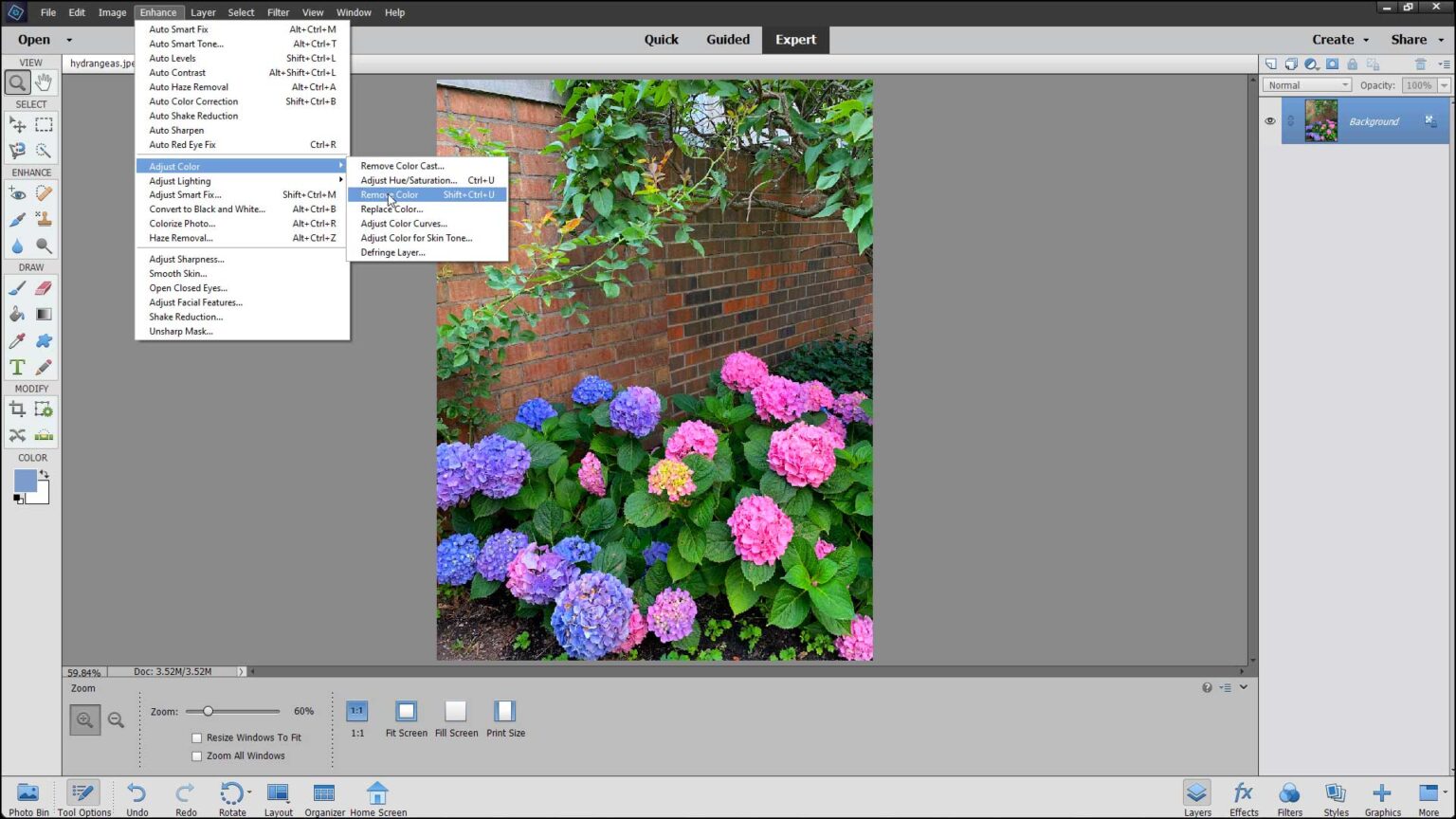 Remove Color in Photoshop Elements - Instructions