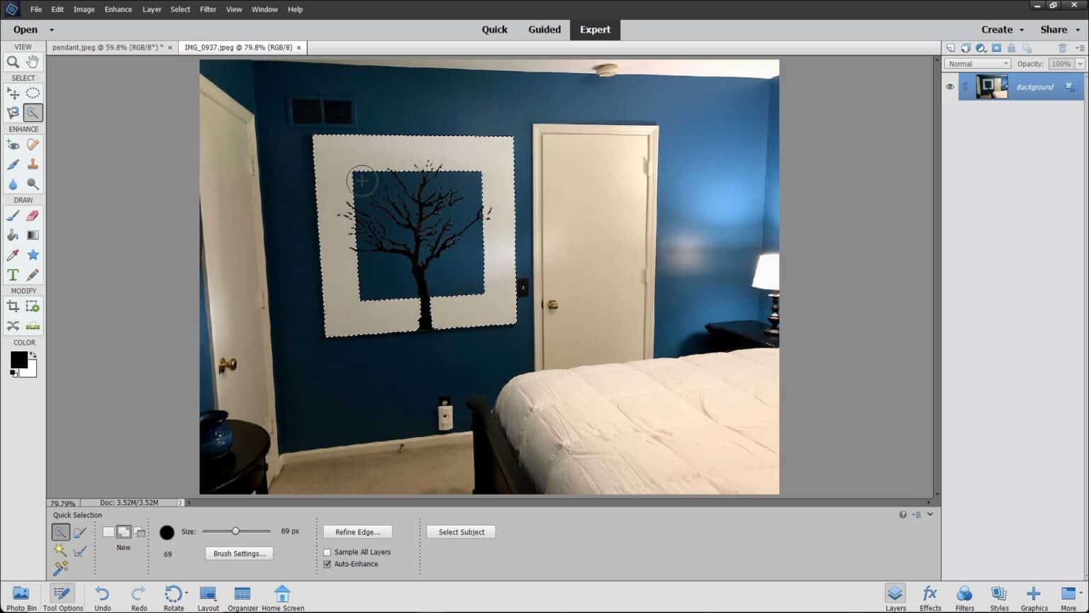The Quick Selection Tool in Photoshop Elements - Instructions