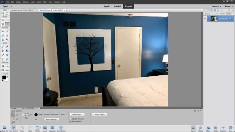 The Quick Selection Tool in Photoshop Elements - Instructions