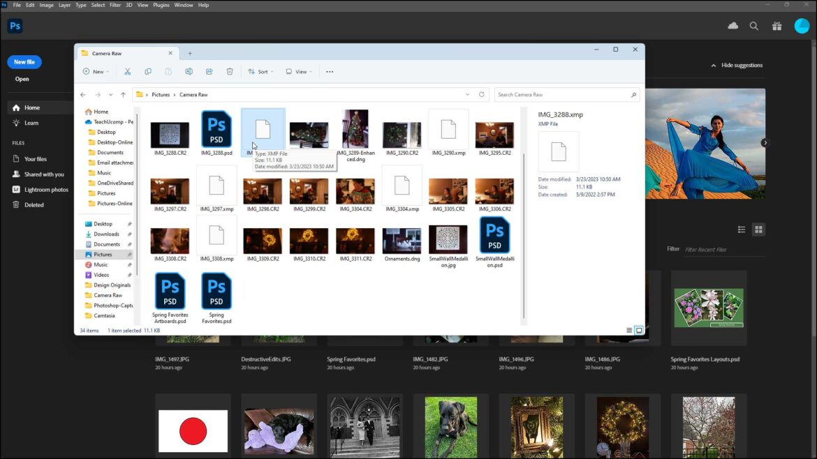 Processing Camera Raw Files in Photoshop - Overview