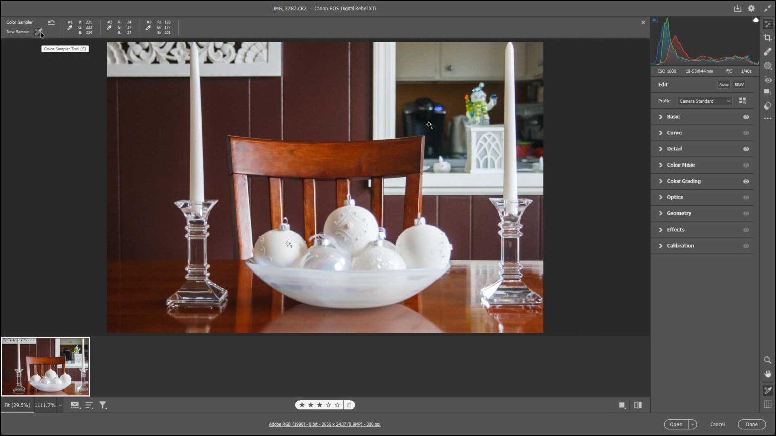 The Sampler and Grid Overlays in Camera Raw in Photoshop