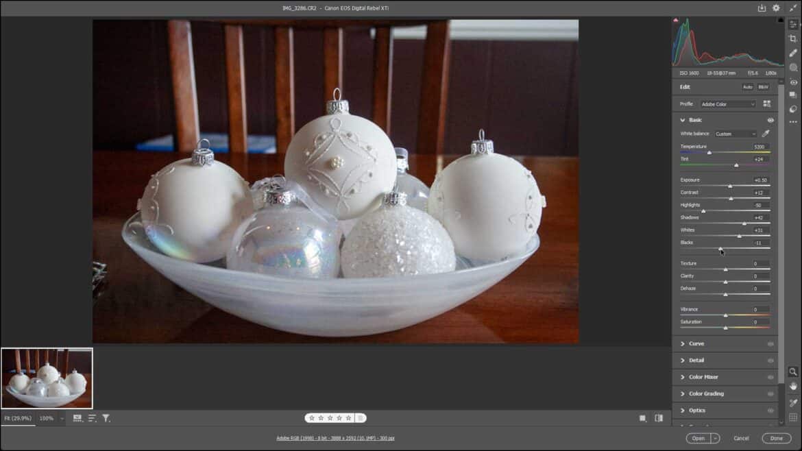 Basic Adjustments in Camera Raw in Photoshop